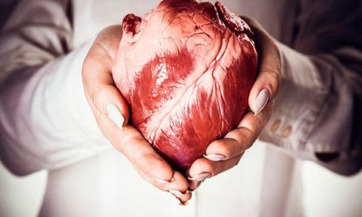 GeHosp – Gestão Hospitalar Tumor raro no coração impressiona médicos em ...