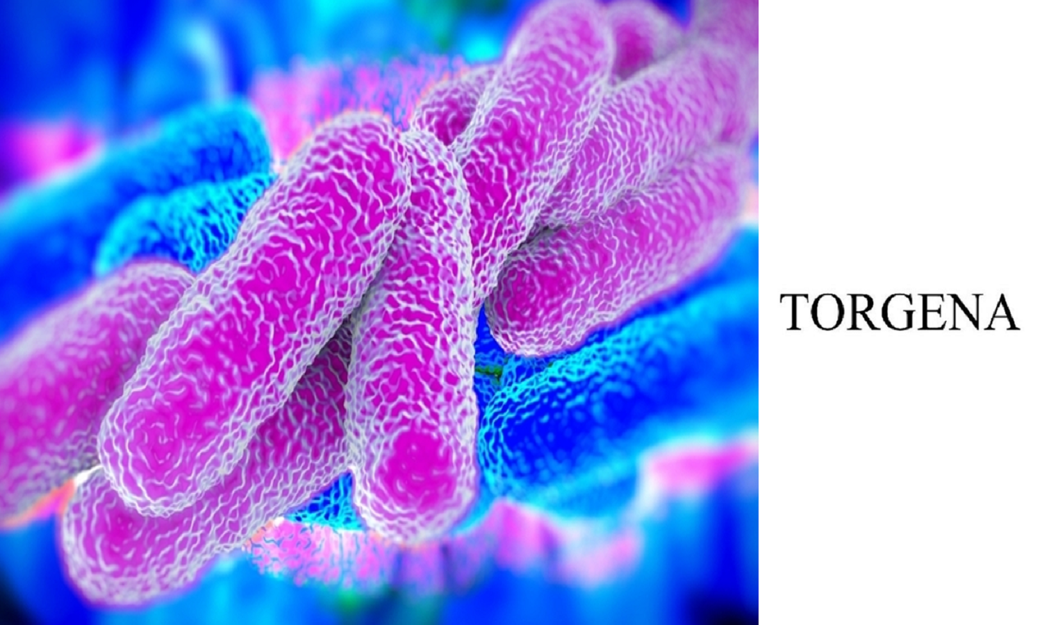 GeHosp – Gestão Hospitalar Anvisa aprova primeiro antibiótico eficaz ...